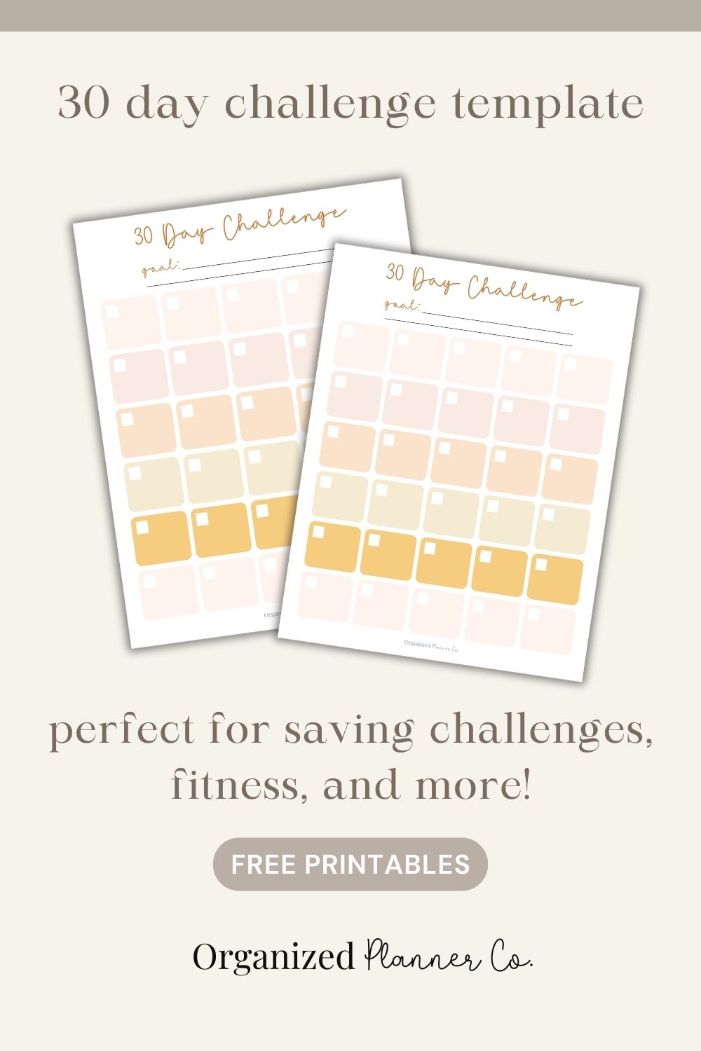 Blank 30 Day Challenge (Free Printable) - organizedplannerco.com